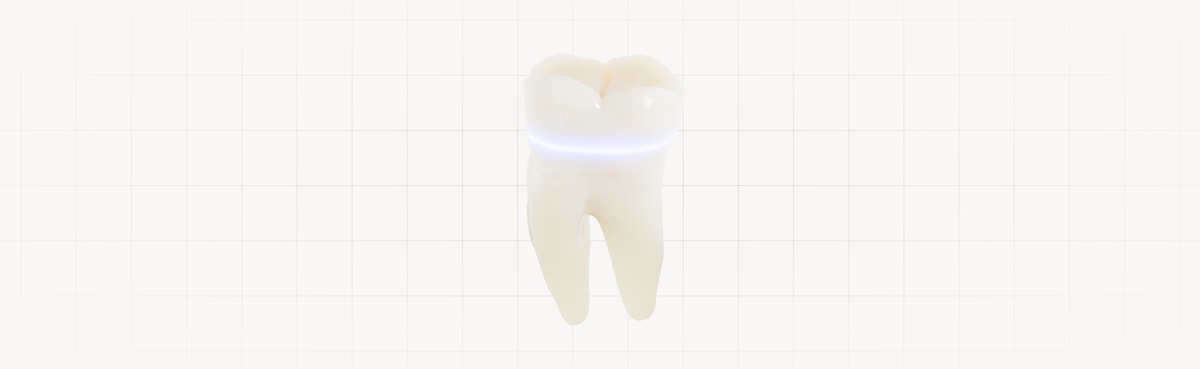 Full-Mouth X-Ray | Overjet Dental Glossary